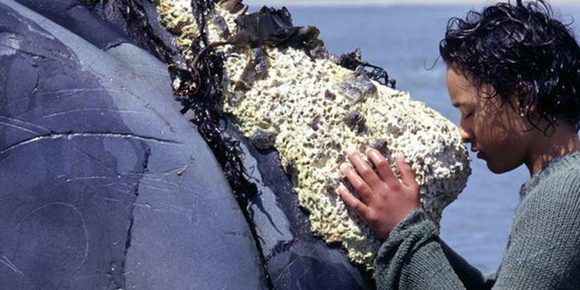 Pinocchio's Monstro & 9 Other Best Movie Whales, Ranked