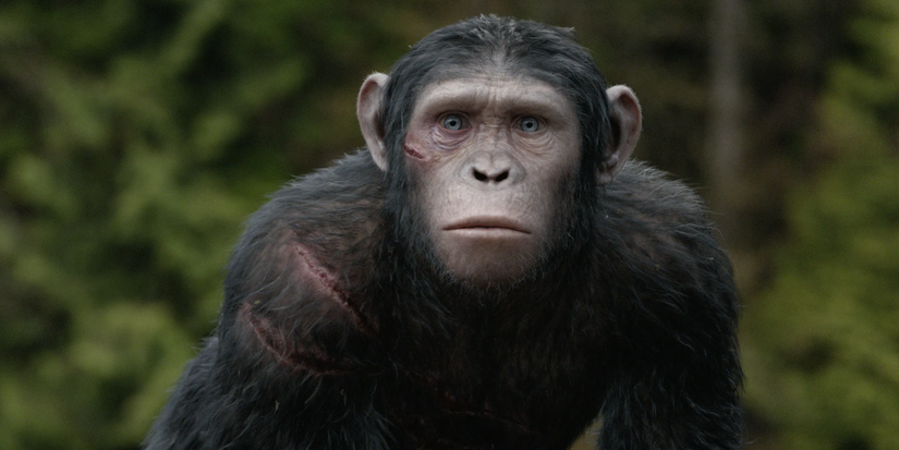 Planet of the Apes: Why Caesar's Son Was Called "Blue Eyes"