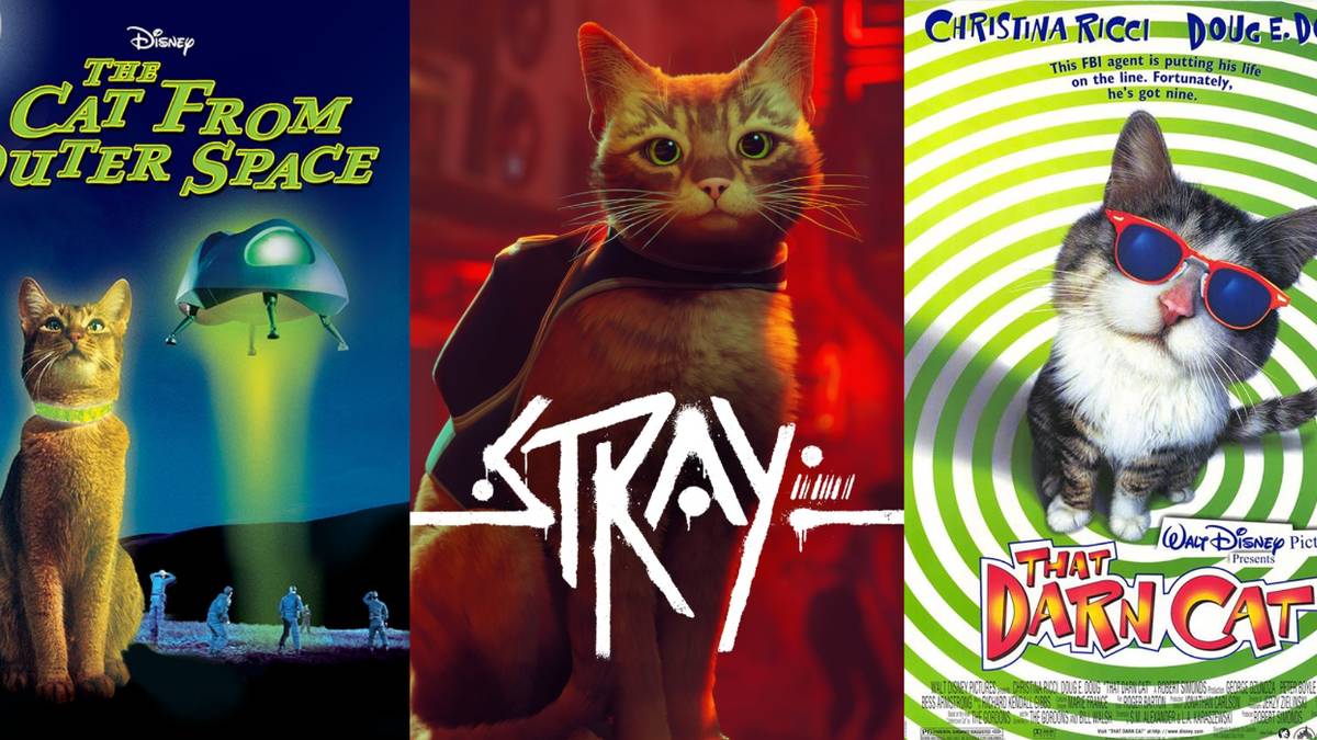 10 Best Cat Movies To Watch If You Loved Stray