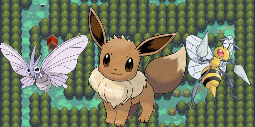 bug type eevee