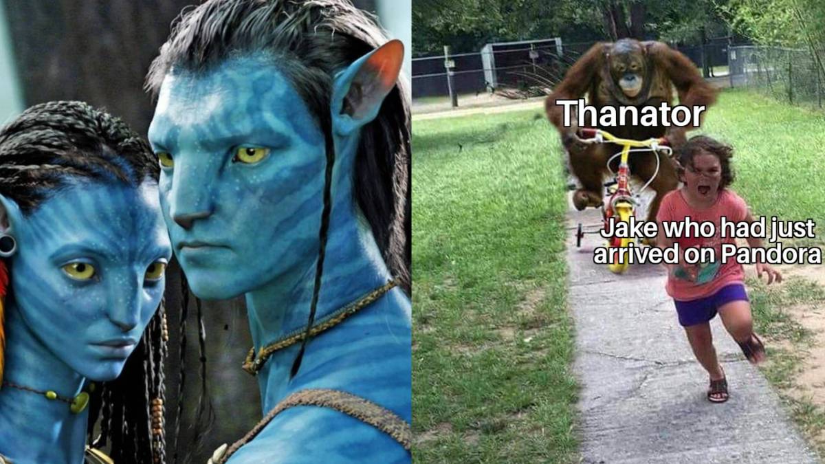 10 Memes That Perfectly Sum Up Avatar (2009)