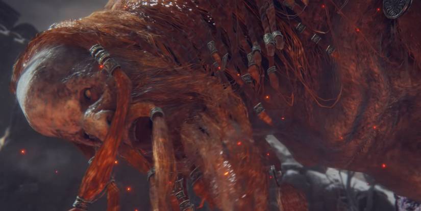 All 12 Outer Gods In Elden Ring & Shadow Of The Erdtree (& Why They Matter)