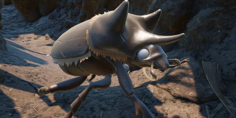 harmless animals grounded