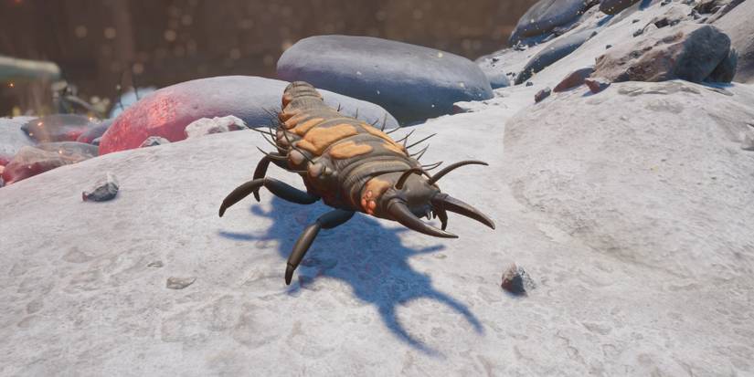 Where To Find (& Kill) Larva In Grounded