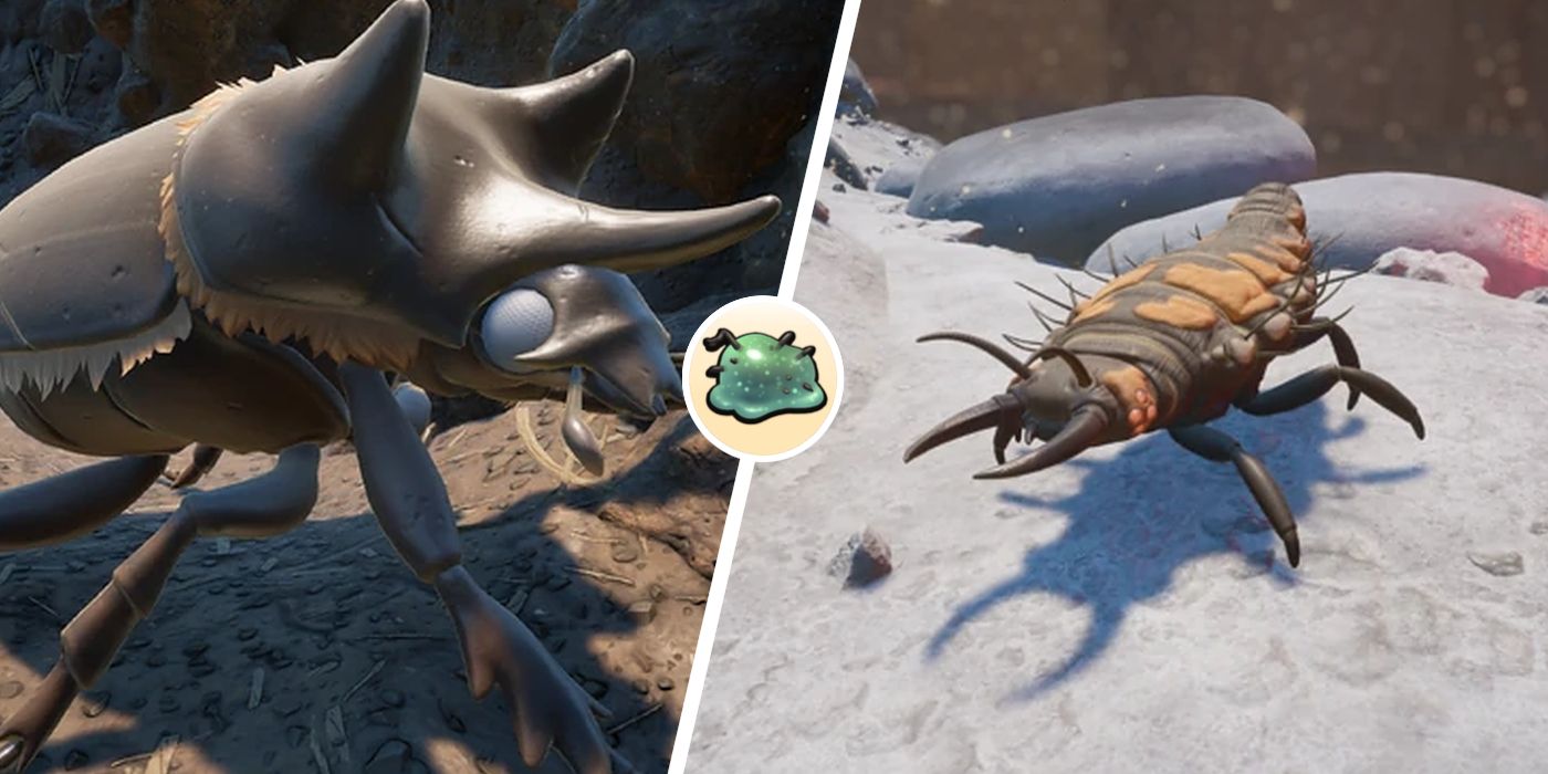 How To Peep Creatures in Grounded