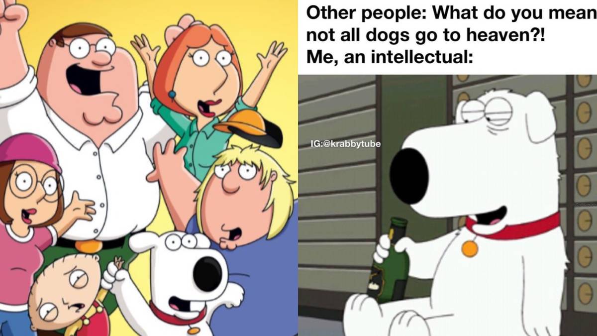 Family Guy: 10 Memes That Perfectly Sum Up The Show