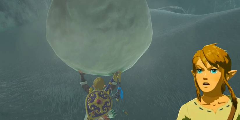 Zelda BOTW: How To Find Leviathan Bones (All Locations)
