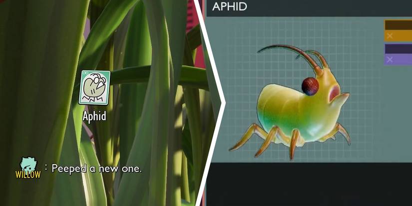 How To Peep Creatures in Grounded