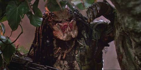 Predator Summary, Trailer, Cast, Where to Watch and More