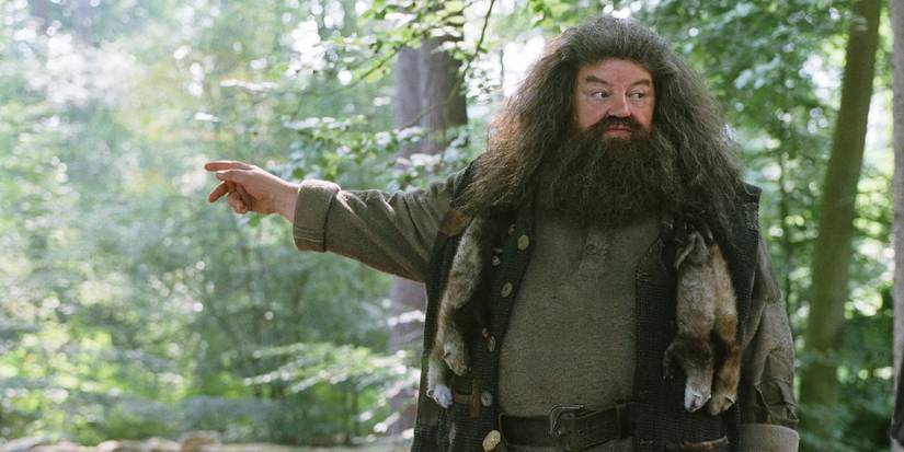 Why Hagrid's Wand Still Worked After It Was Broken In Harry Potter