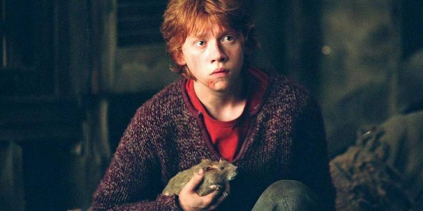 Harry Potter: 10 Quotes That Prove Ron Was Way Braver In The Books