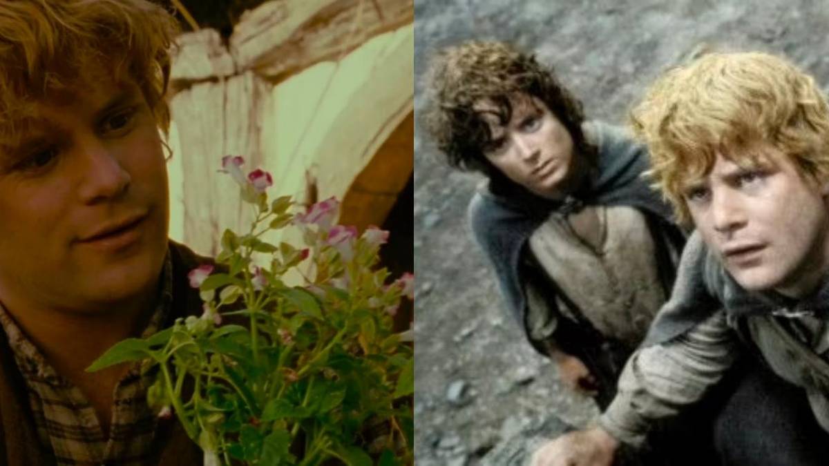 Lord Of The Rings: 10 Unpopular Opinions About Sam, According To Reddit