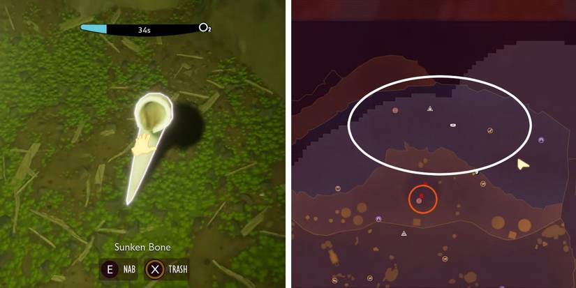 Where to Find Sunken Bone in Grounded