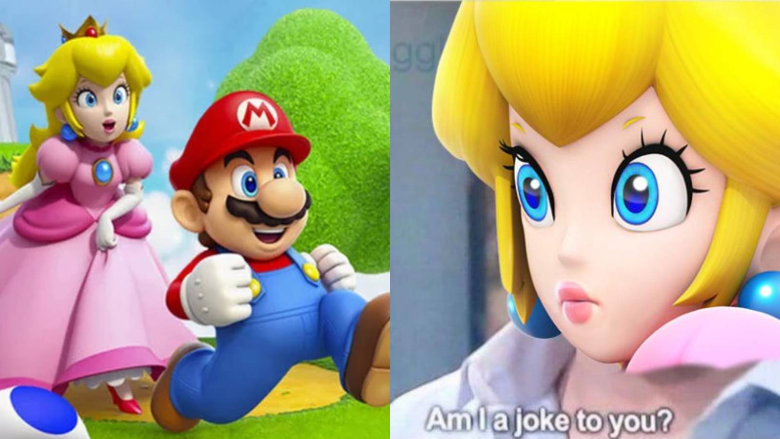 Super Mario: 10 Memes That Perfectly Sum Up Princess Peach