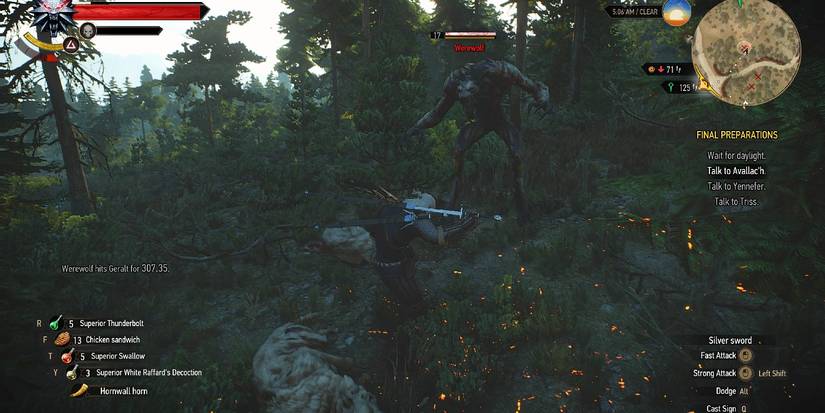 Why Witcher 3's Werewolves Keep Healing (& How To Stop It)