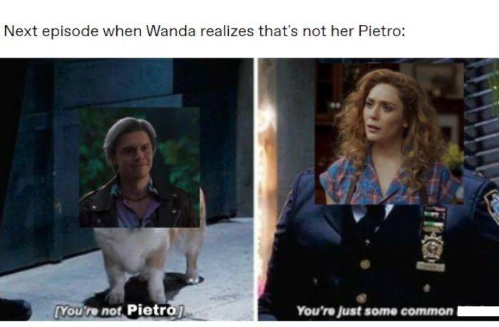 MCU: 10 Memes That Perfectly Sum Up Wanda & Pietro's Relationship