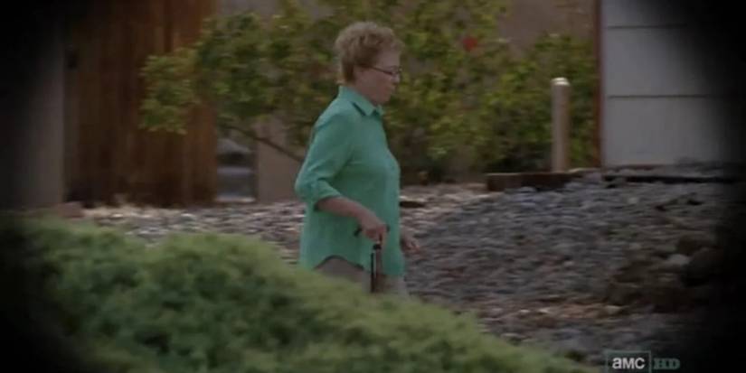 Breaking Bad: 10 Annoying Plot Holes That Bother Redditors The Most