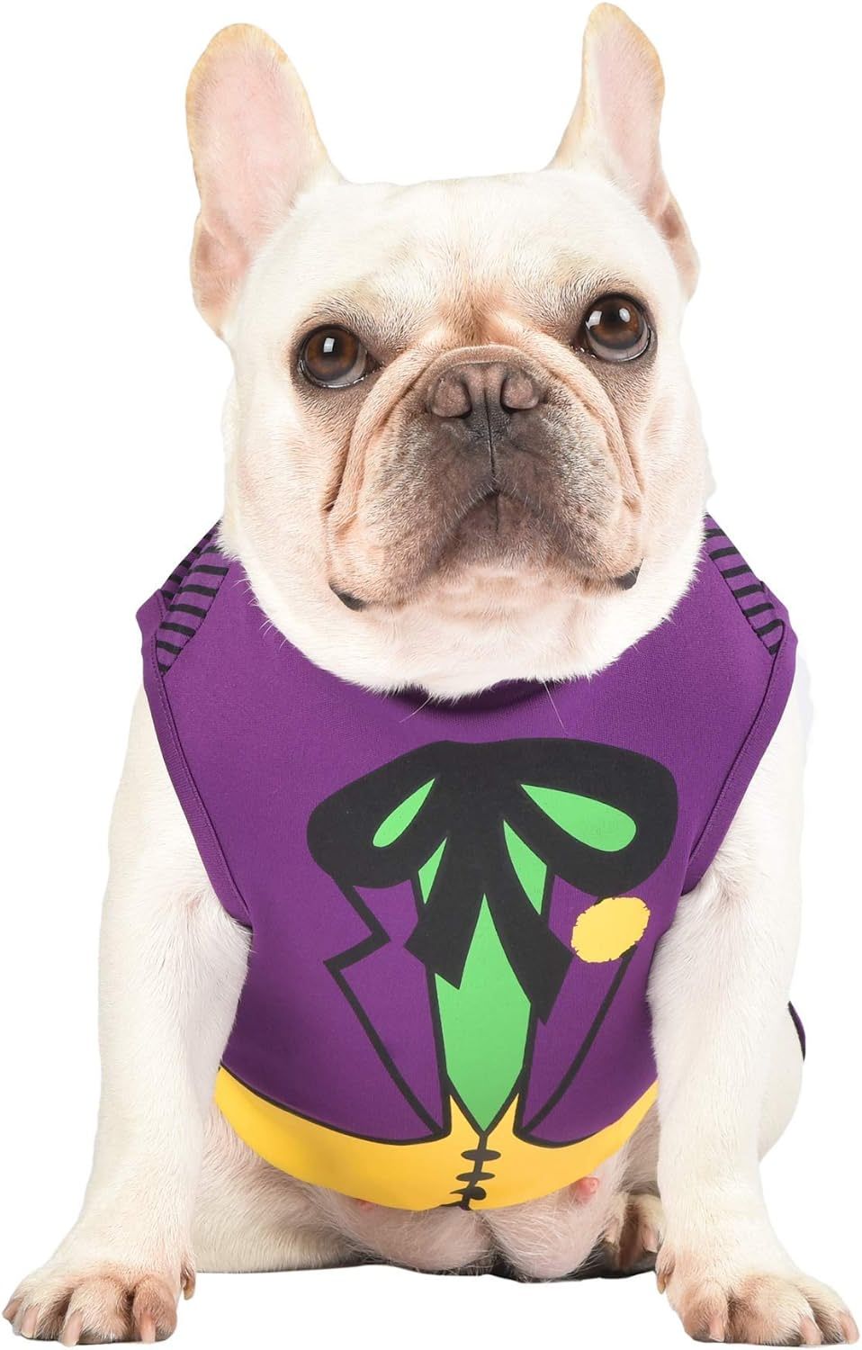 Best Halloween Costumes for Dogs (Updated 2022)