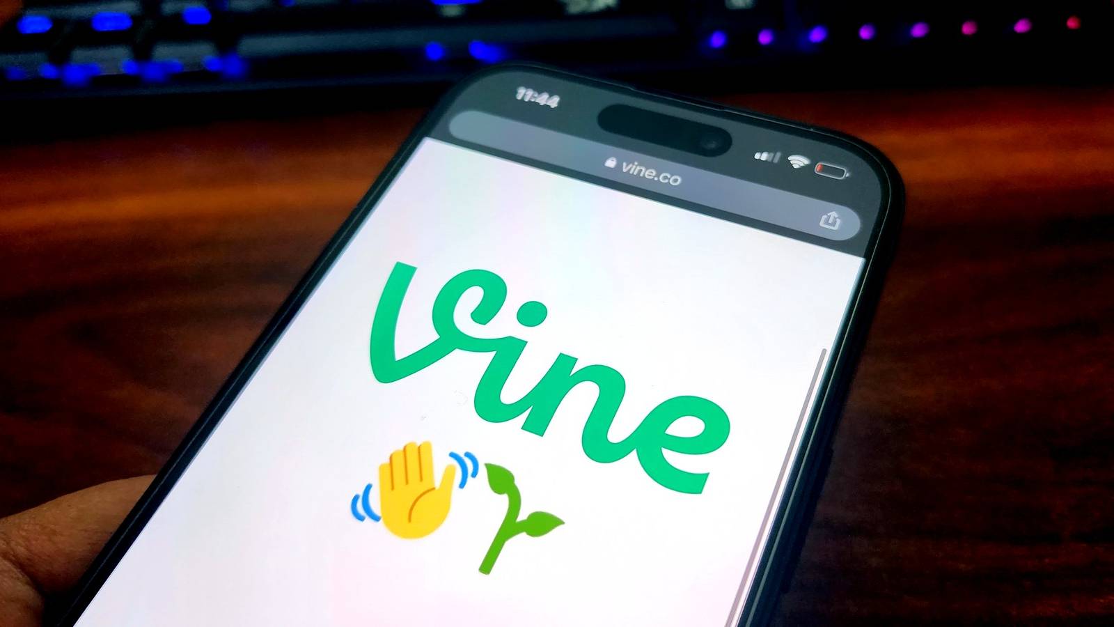 Elon Musk Bringing Back Vine Would Actually Be Pretty Great