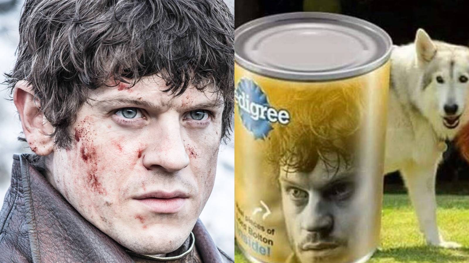 Game Of Thrones: 10 Memes That Perfectly Sum Up Ramsay Bolton As A ...