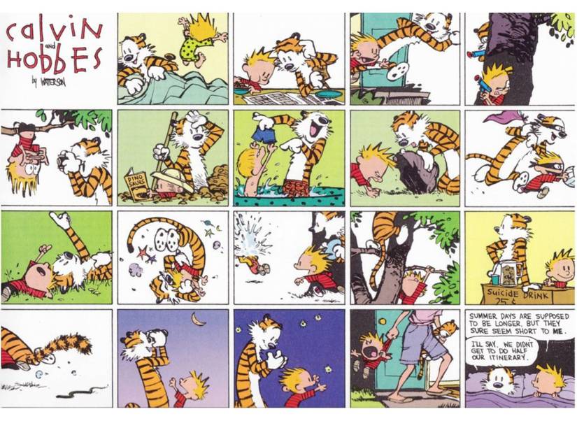 10 Calvin And Hobbes Comics That Sum Up Hobbes As A Character