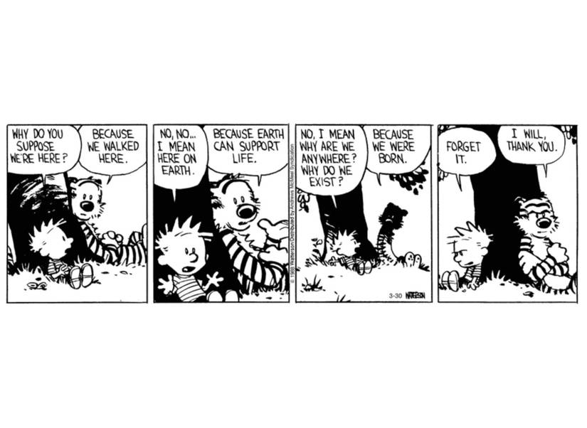 10 Calvin And Hobbes Comics That Sum Up Hobbes As A Character