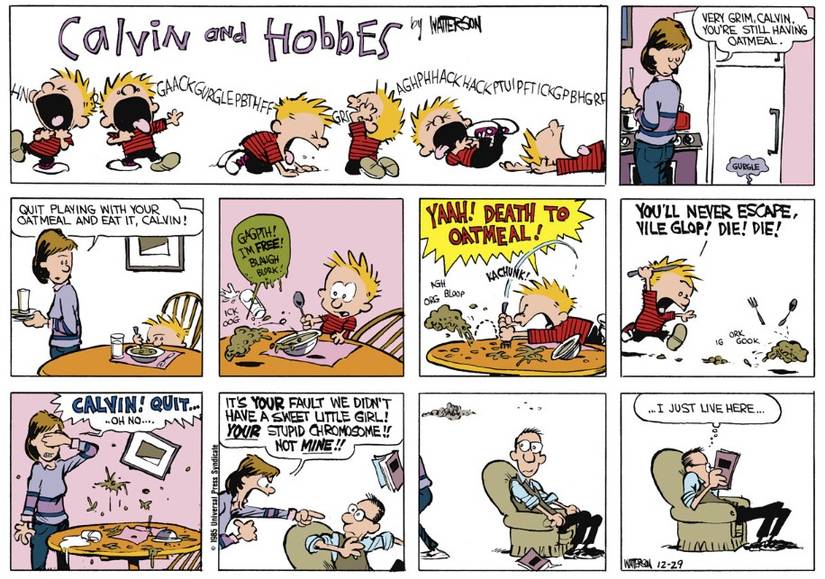 10 Bleakest Calvin And Hobbes Comics