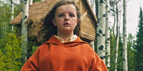 Hereditary Summary, Trailer, Cast, Where to Watch and More