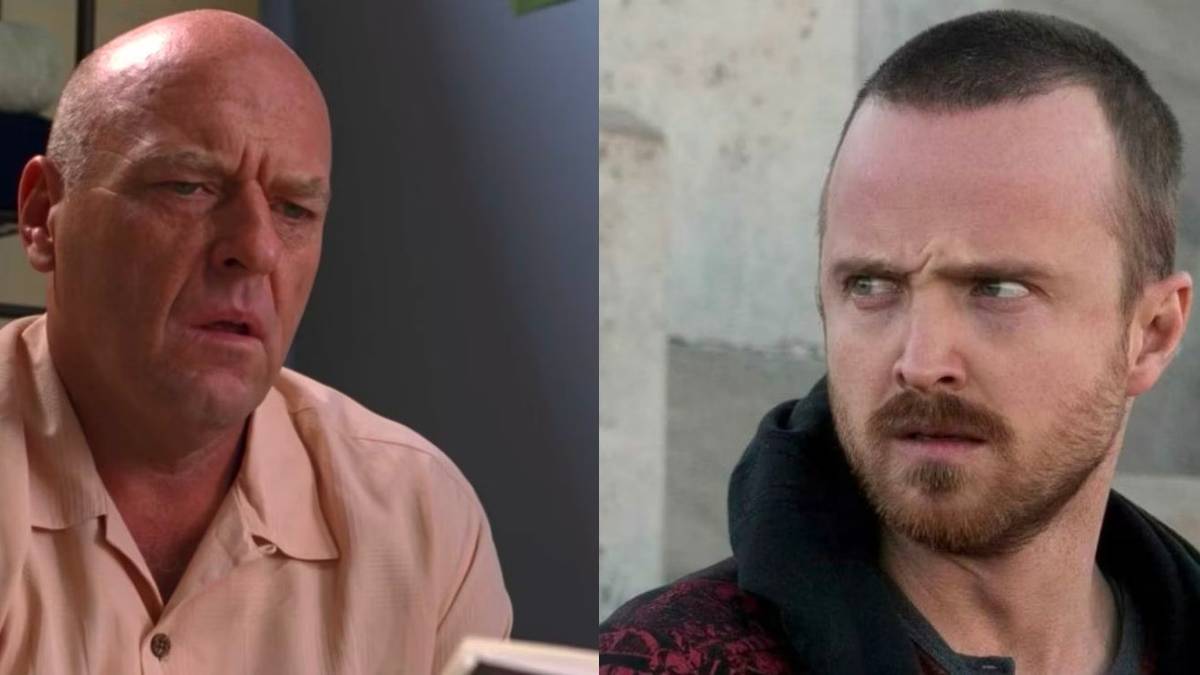 Breaking Bad: 10 Most Morally Good Characters, According To Reddit