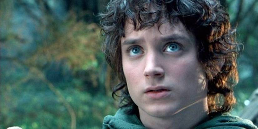 Lord Of The Rings: 10 Unpopular Opinions About Frodo, According To Reddit