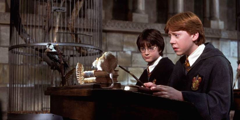 10 Scenes In Chamber Of Secrets That Become Important Later In Harry Potter