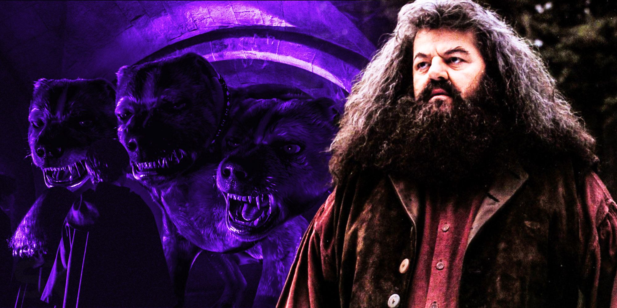 Harry Potter's Fluffy Origin Change Makes No Sense