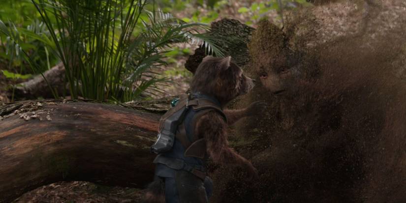 10 Quotes That Prove Rocket Raccoon Is The Saddest Guardian Of The Galaxy