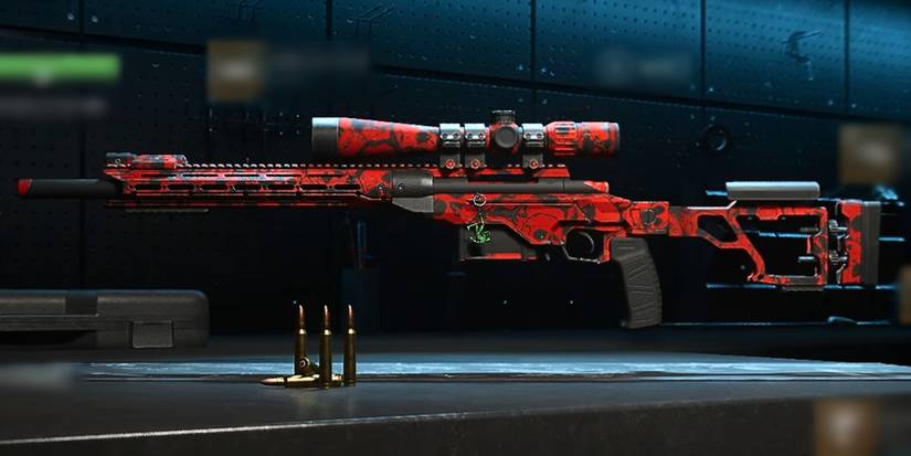 The Best SPX-80 Loadout in MW2