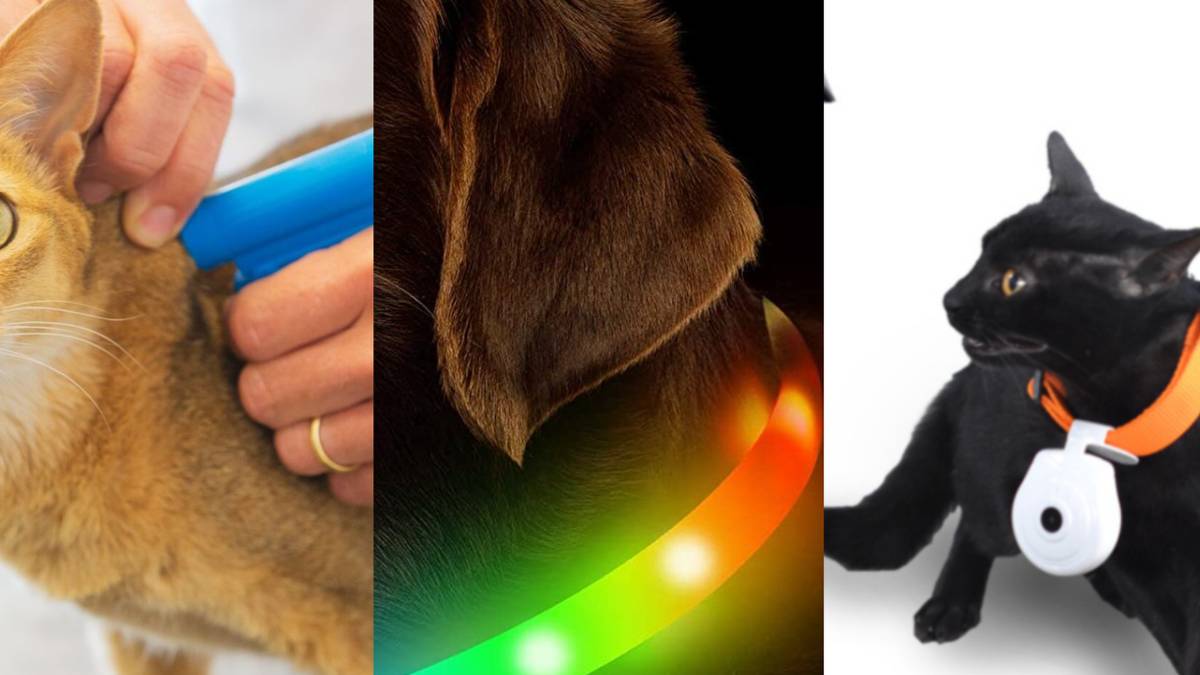 10 Tech Gadgets You Can Attach To Your Pets To Keep Them Safer
