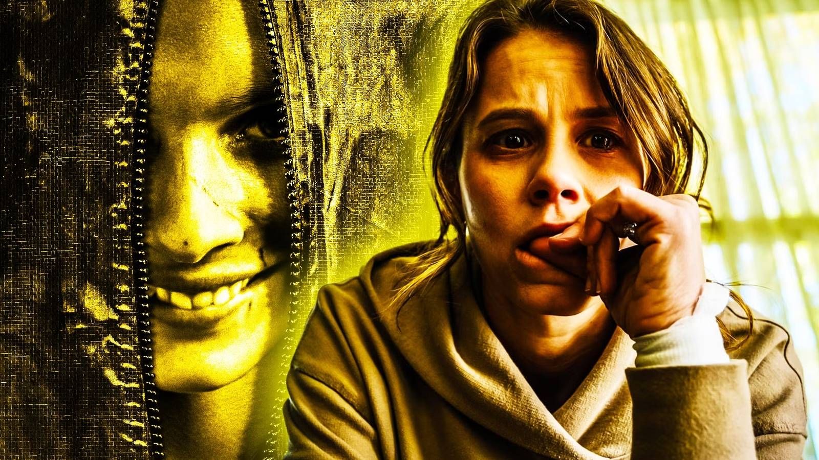 What Happened To The Cat In Smile?!