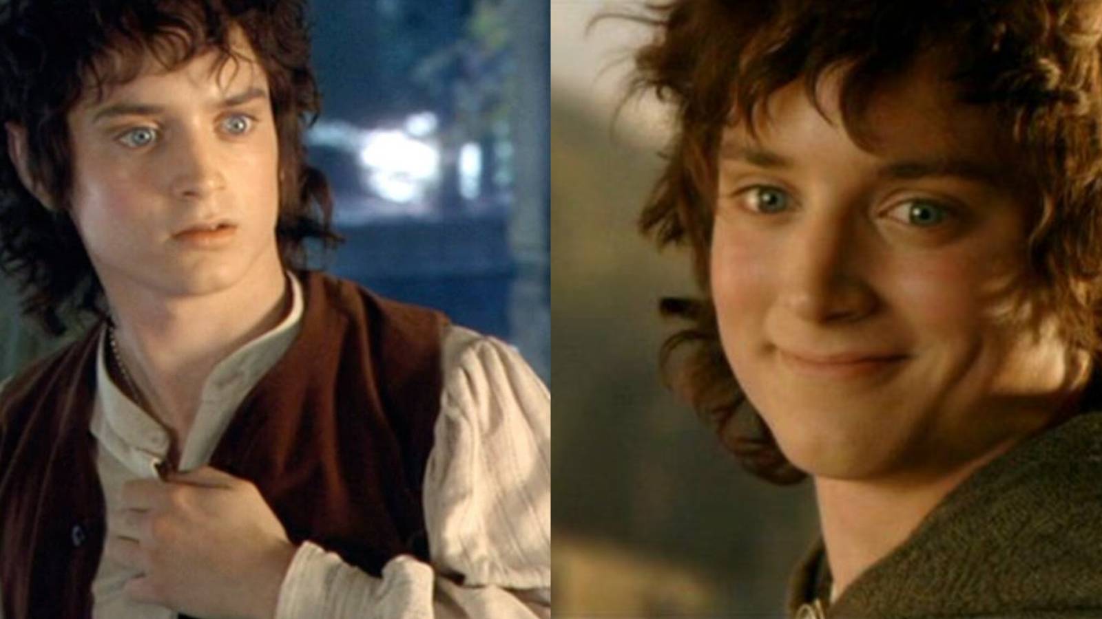 Lord Of The Rings: 10 Unpopular Opinions About Frodo, According To Reddit