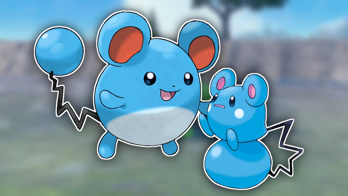 Pokémon Scarlet & Violet: How to Evolve Azurill into Marill