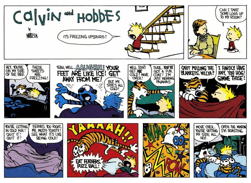 10 Calvin And Hobbes Comics That Sum Up Hobbes As A Character