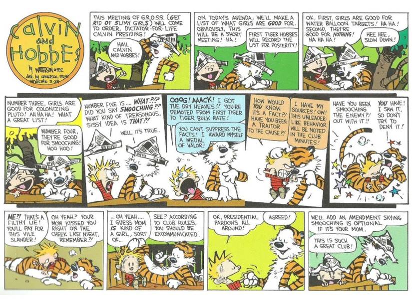 10 Calvin And Hobbes Comics That Sum Up Hobbes As A Character