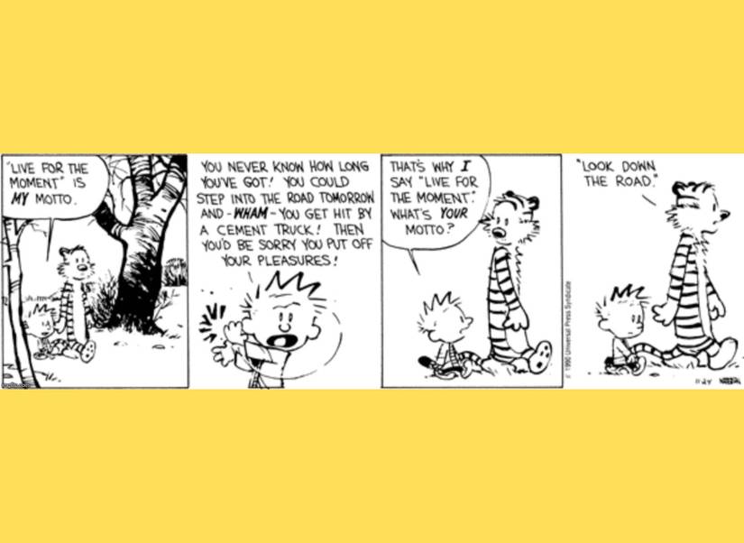 10 Calvin And Hobbes Comics That Sum Up Hobbes As A Character