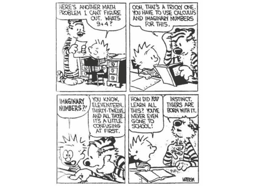 10 Calvin And Hobbes Comics That Sum Up Hobbes As A Character