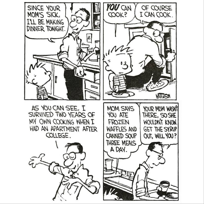 10 Funniest Calvin And Hobbes Comics About Parenting