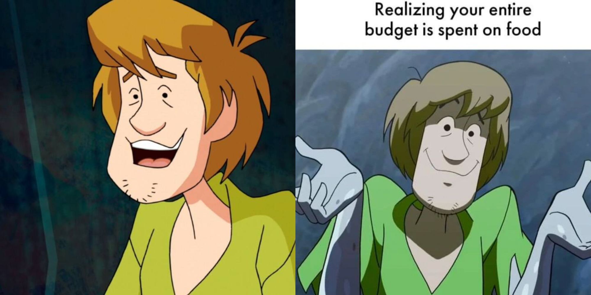 Scooby-Doo: 10 Memes That Perfectly Sum Up Shaggy As A Character