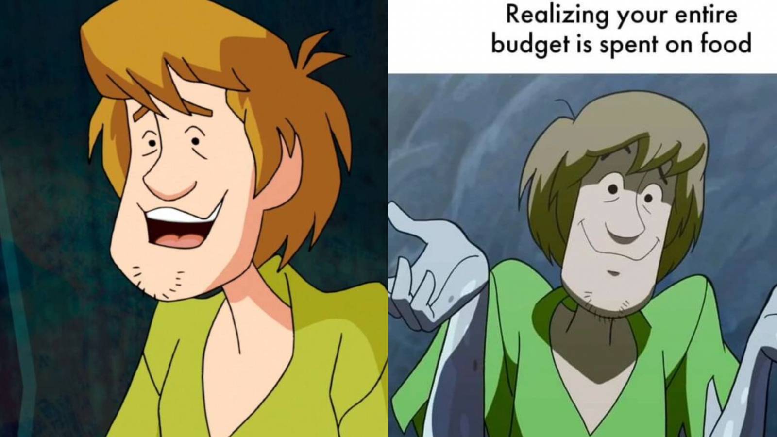 Scooby-Doo: 10 Memes That Perfectly Sum Up Shaggy As A Character