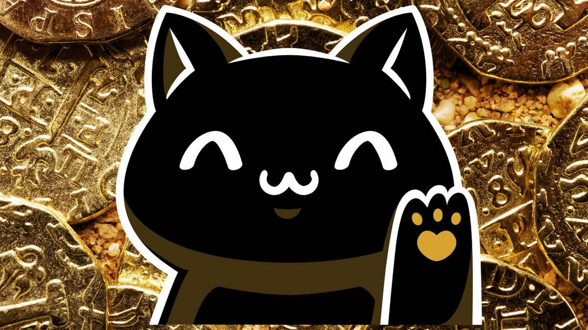 What Is The Doubloon Cat Meme? The TikTok Trend Explained