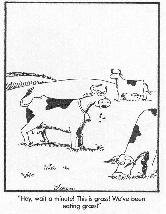 Gary Larson's 10 Funniest Far Side Comics About Cows