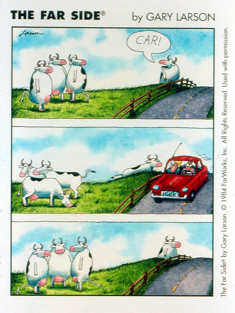 Gary Larson's 10 Funniest Far Side Comics About Cows