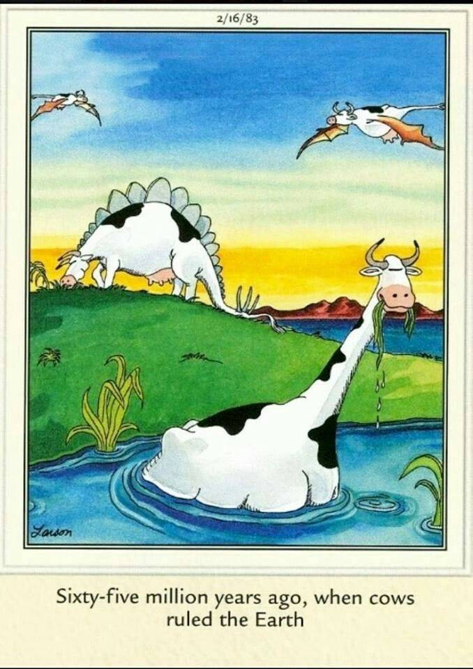 Gary Larson's 10 Funniest Far Side Comics About Cows