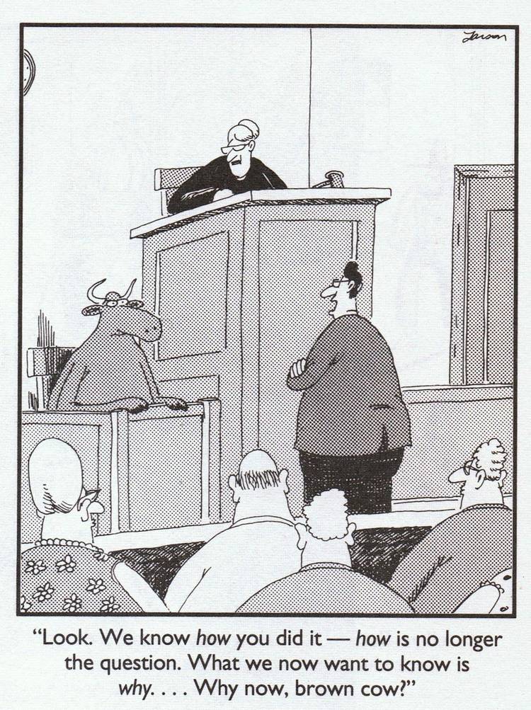 Gary Larson's 10 Funniest Far Side Comics About Cows